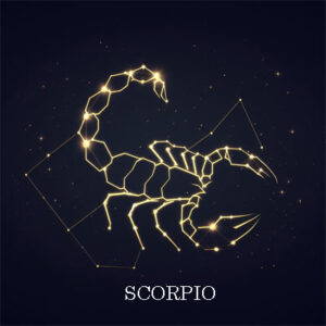 The Mysterious Scorpions: Unveiling the Personality Traits and ...